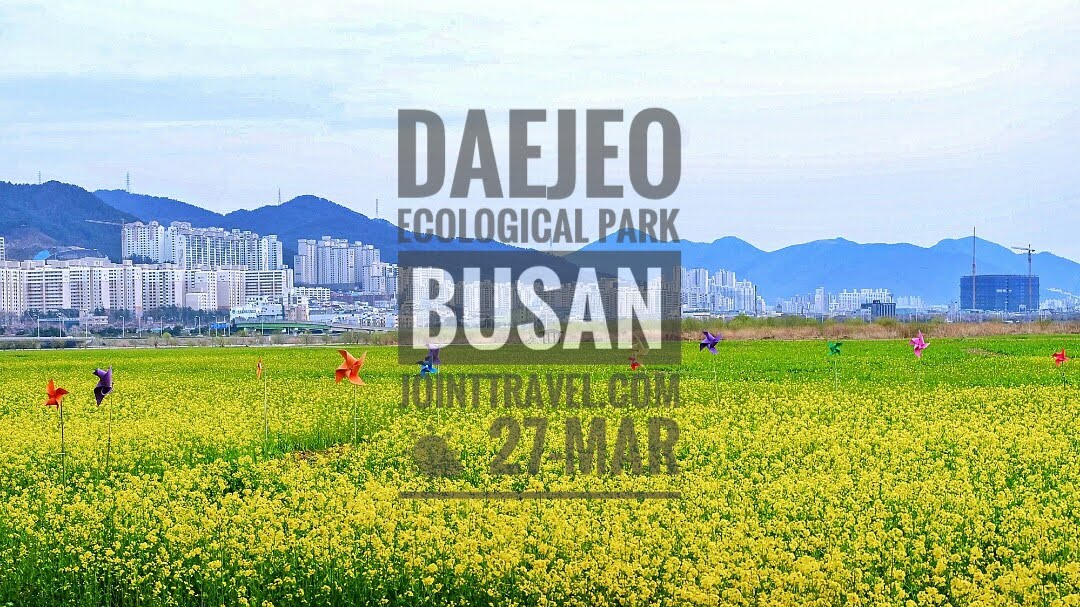 สวนนิเวศวิทยาแทจอ (Daejeo Ecological Park, Busan) – จ๊อยท์: คู่มือ ...