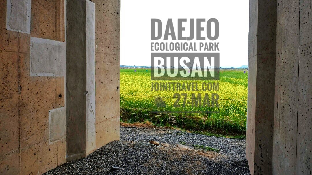 สวนนิเวศวิทยาแทจอ (Daejeo Ecological Park, Busan) – จ๊อยท์: คู่มือ ...