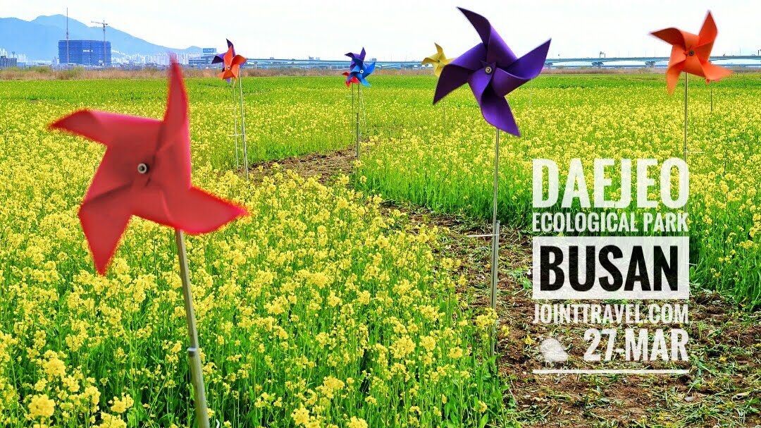 สวนนิเวศวิทยาแทจอ (Daejeo Ecological Park, Busan) – จ๊อยท์: คู่มือ ...