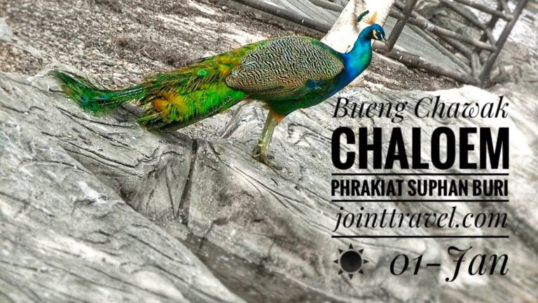 บึงฉวาก (Bueng Chawak) – จ๊อยท์: คู่มือเที่ยวเอง!