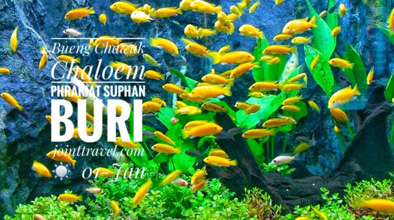 บึงฉวาก (Bueng Chawak) – จ๊อยท์: คู่มือเที่ยวเอง!